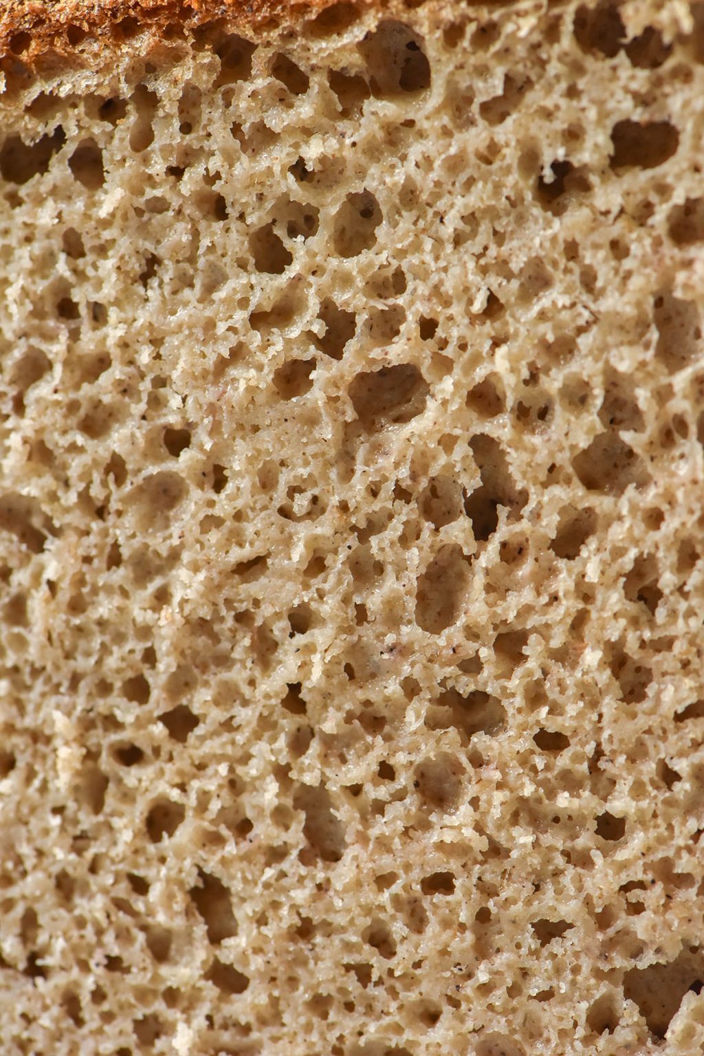 Sorghum bread (gluten free, vegan) - George Eats